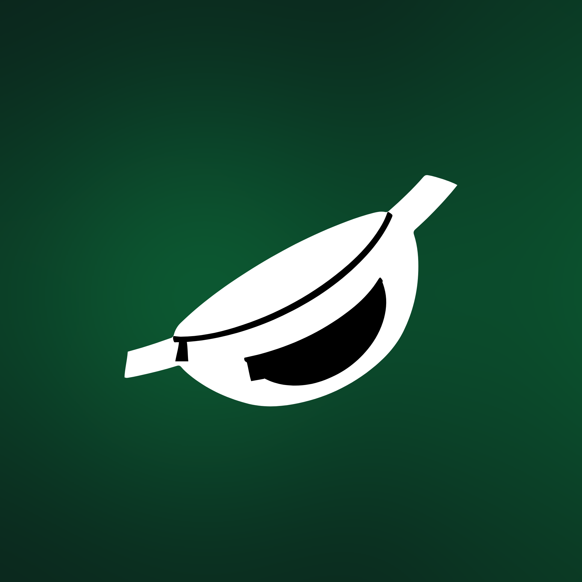 Best Anti-Theft Ihram Belt to Accompany Your Hajj and Umrah – Hajj Safe